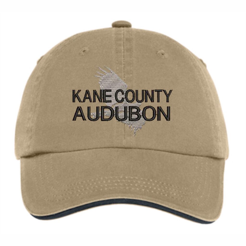 Kane County Audubon Unstructured Cap | HyperStitch, Inc